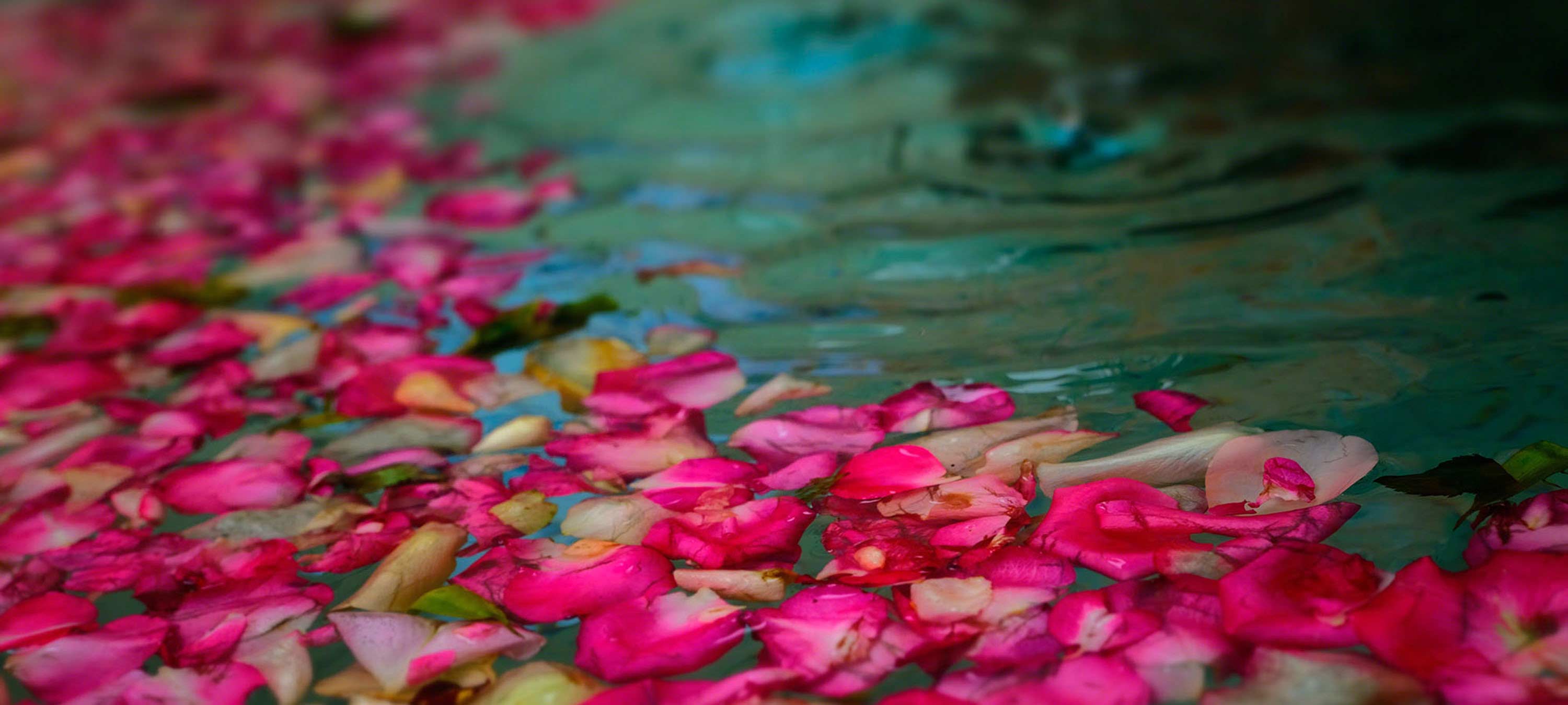 Karen Hutton | Fine Art Photographer Author Speaker Voice Artist