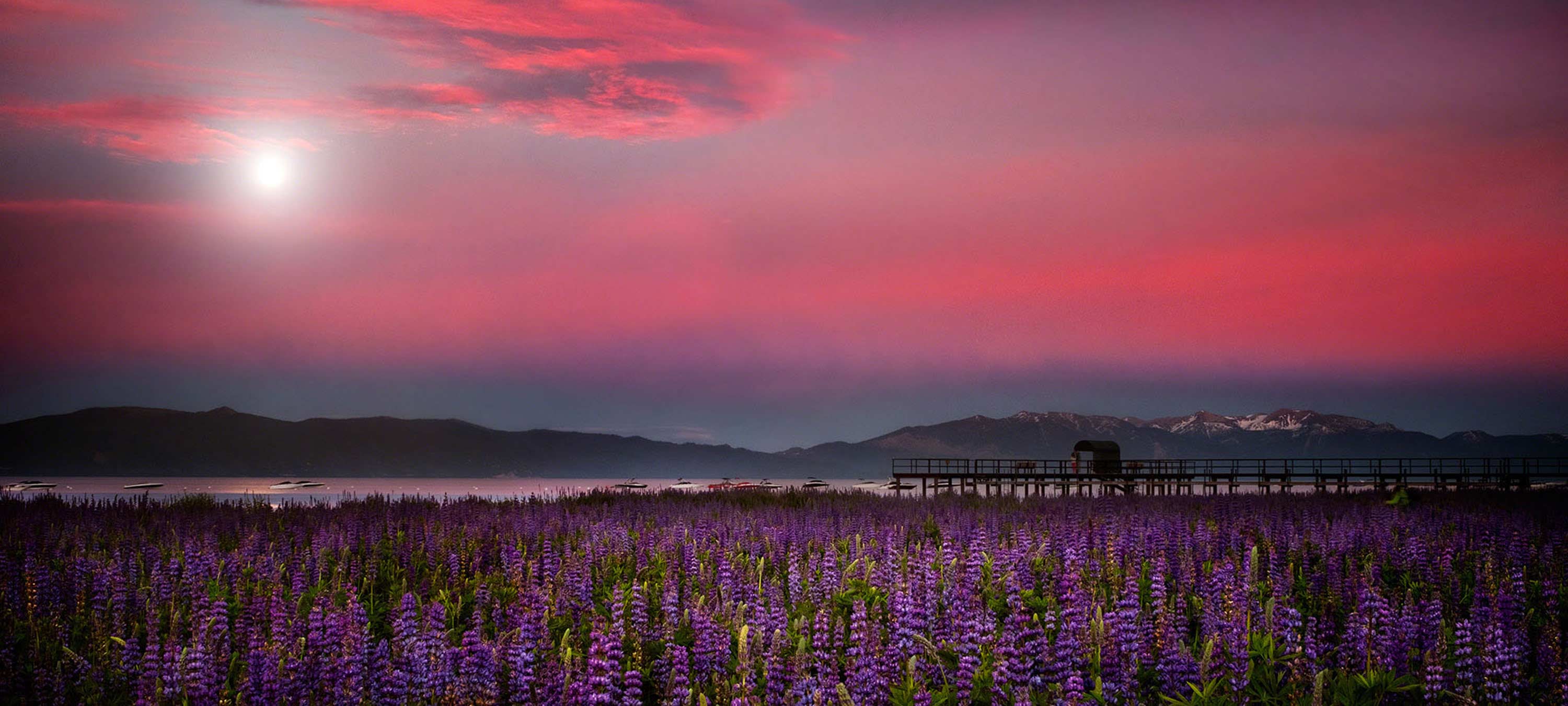 Karen Hutton | Fine Art Photographer Author Speaker Voice Artist