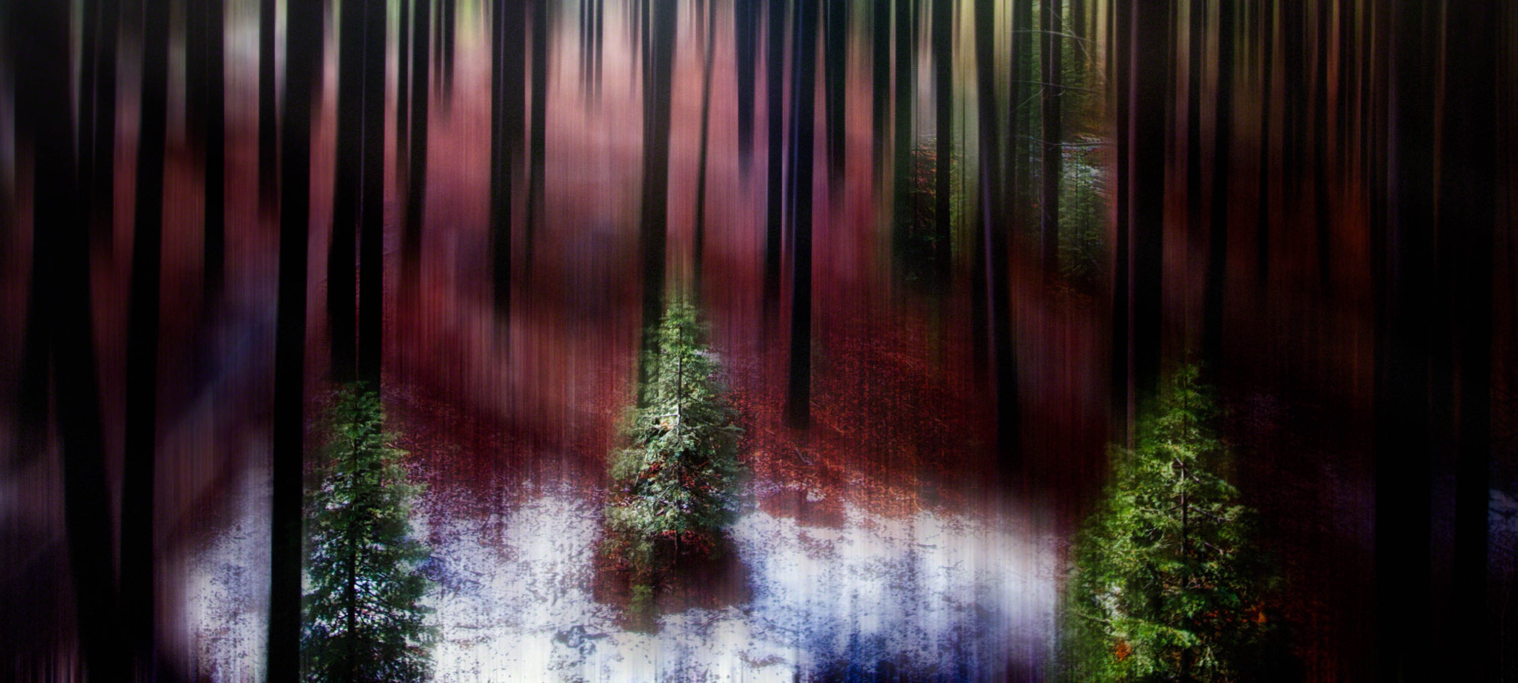 Karen Hutton | Fine Art Photographer Author Speaker Voice Artist