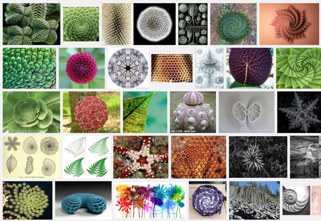 Finding Your Voice: Day 8. Shapes & Patterns. – Karen Hutton